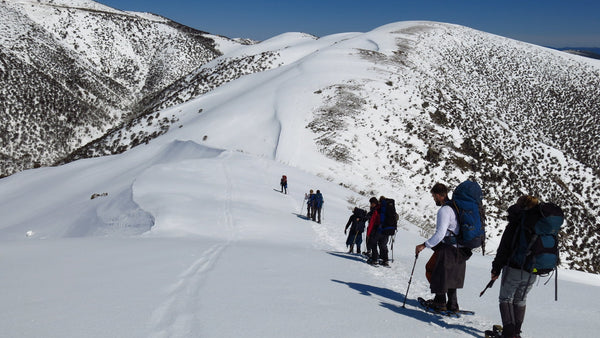 Winter hiking on Mount Feathertop: what you need to know for a safe an ...